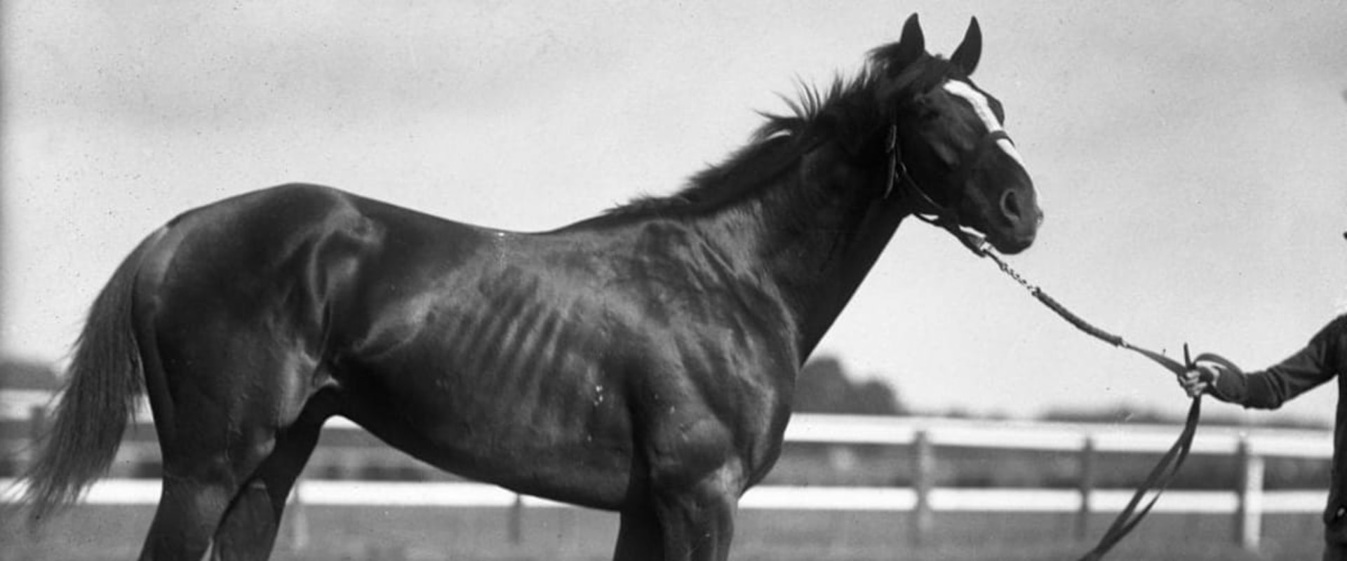 The Legendary Sir Barton and the First Triple Crown