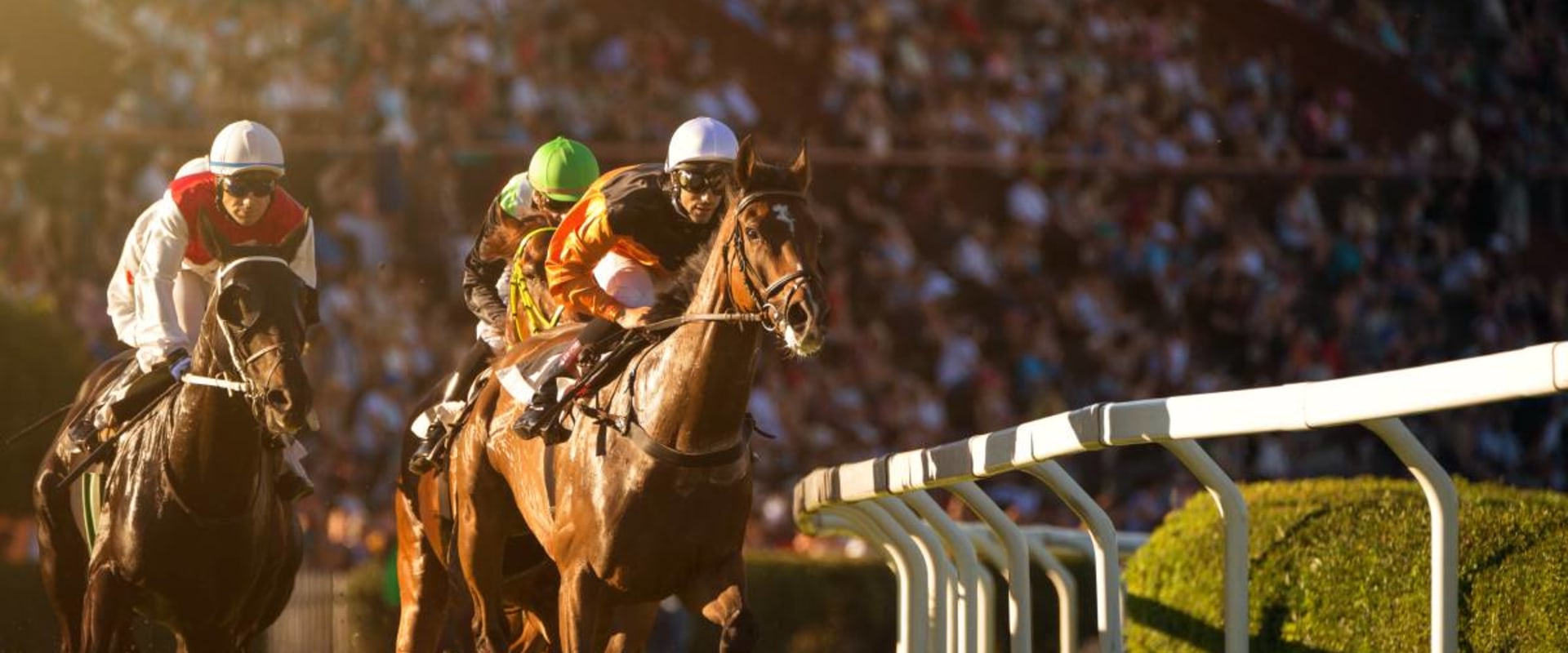 Exploring the Evolution of Modern Horse Racing