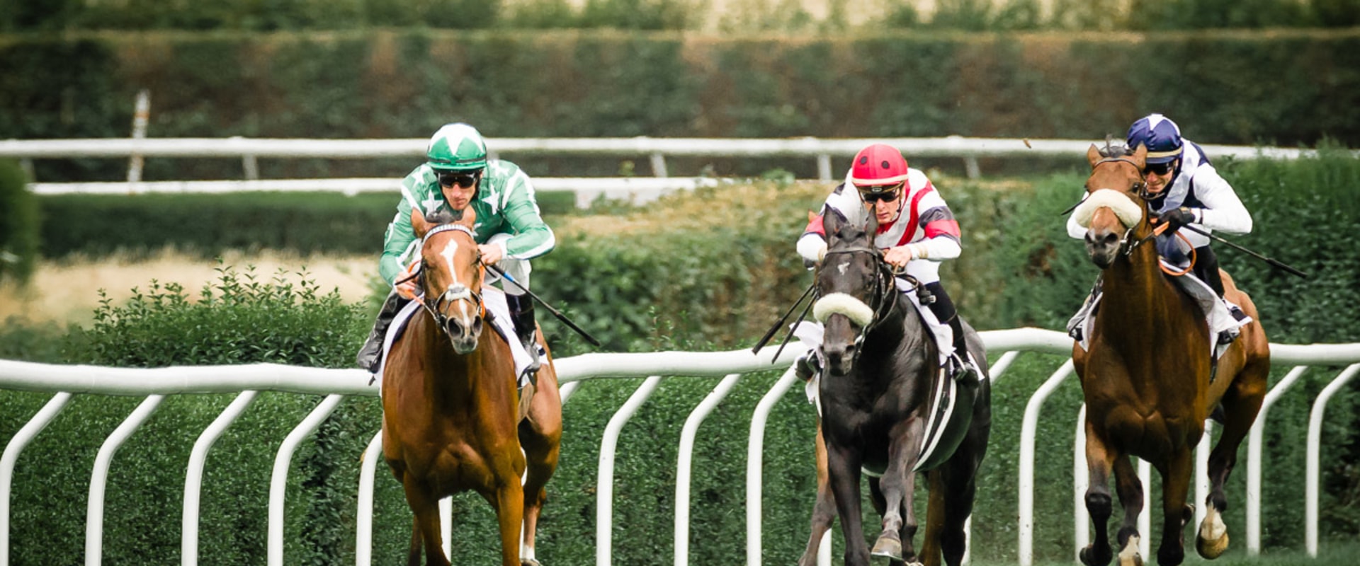 How to Choose the Right Camera and Settings for Horse Racing Photography